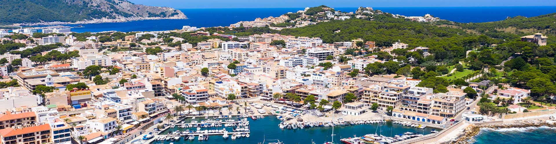 Mayer & Dau Immobilien - Immobilienmakler